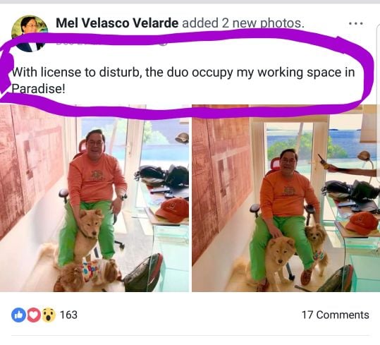 happened to visit $NOW 's CEO, Mel Velarde and saw this post of him ...