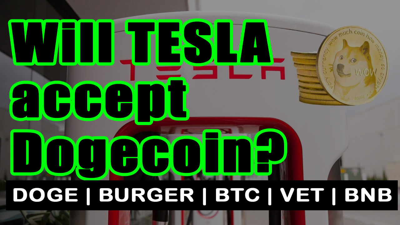 What's Up with Crypto | May 11 2021 $NASDAQ:BTC $DOGE $BURGER $NYSE:VET ...