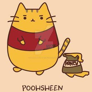 Pooh Sheen (@PusheenTheCat) | Investagrams