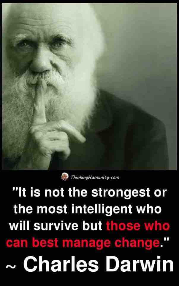 Adapt to Survive or Die. | Mark Pogi Sentiment | Investagrams