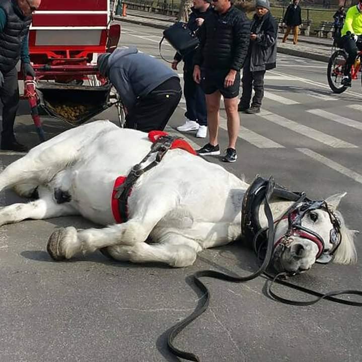 jeff pesos (@jeff_pesos) | Investagrams